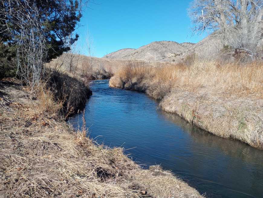 Private spring creek
